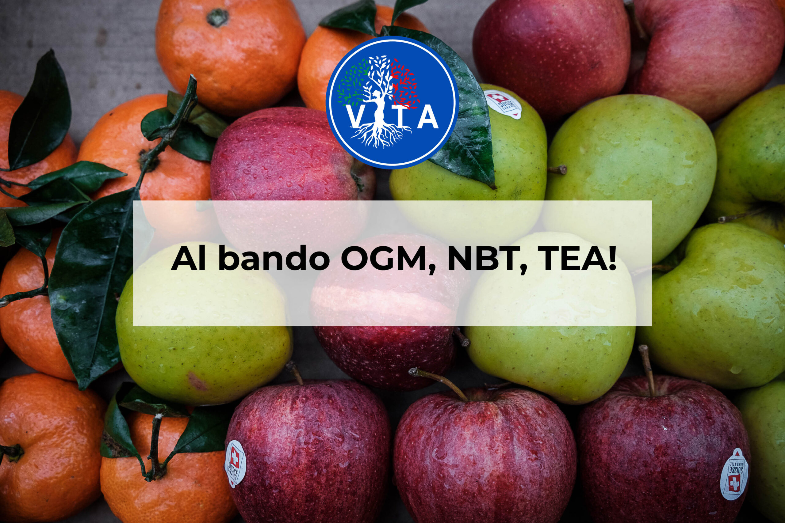 Al bando OGM, NBT, TEA! - VITA